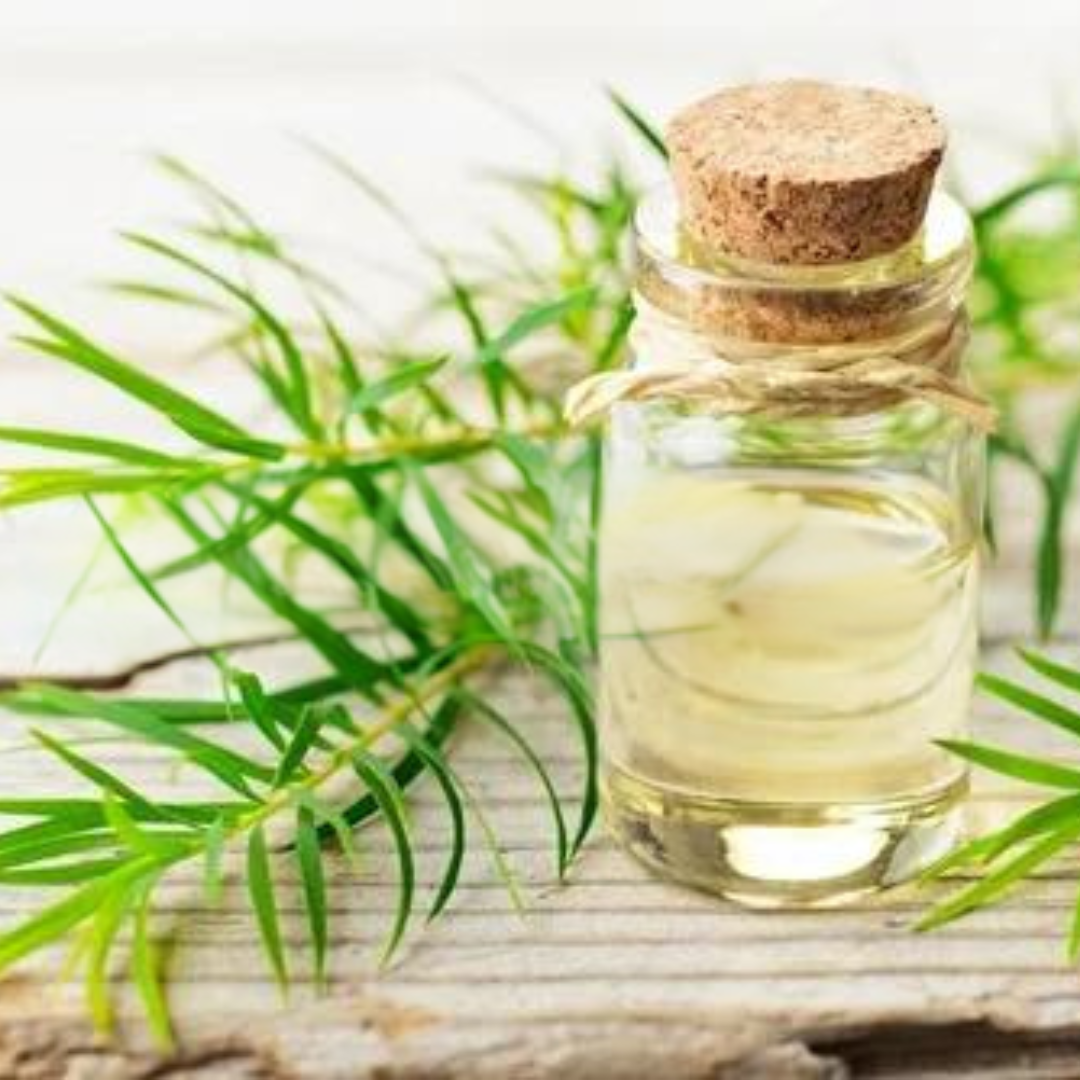 THE DAILY LID WIPE™ Tea Tree Oil Formula – myze The Daily Care for Eyes